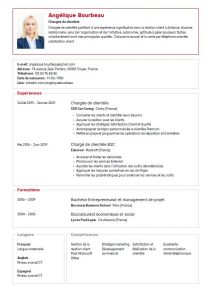 El currículum en francés | Plantillas y ejemplos